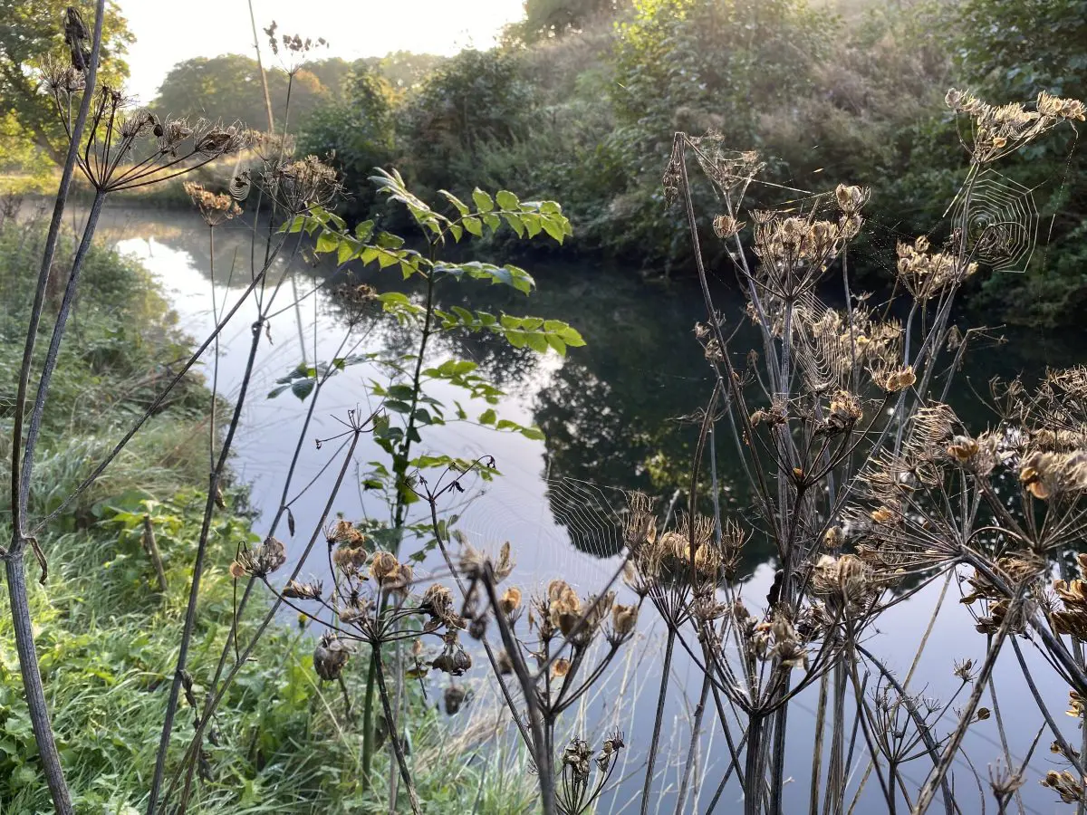 Calendar Gallery | Kinver Community Library